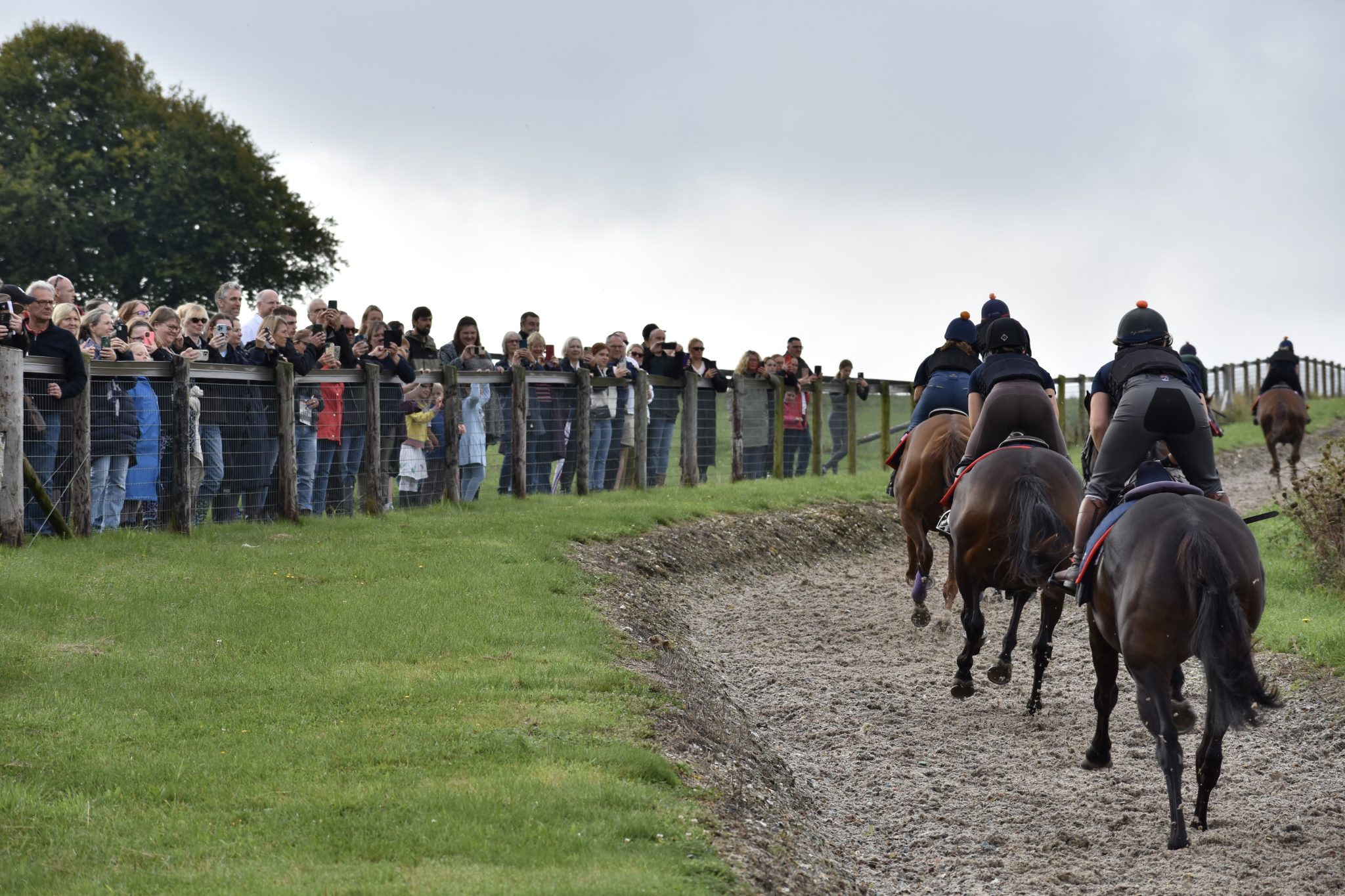 Entries and Declarations - Plantation Farm